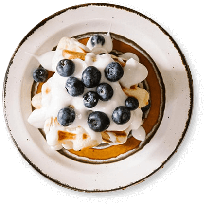 Bakery - Nutripan Bakery